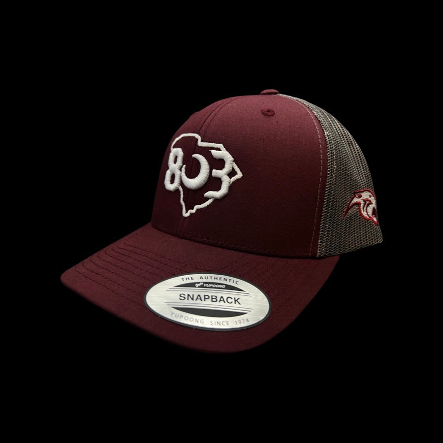 Pelion Panthers Collection – Hometown Colors